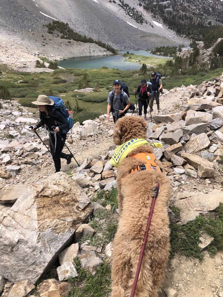 Backpacking Duck Pass Trail to Pika Lake - Barley and Co.