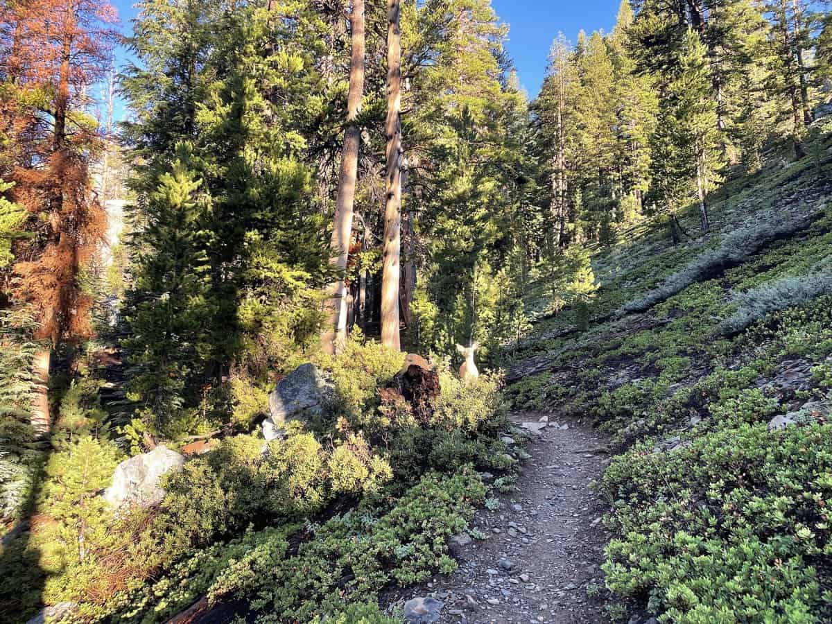 Hiking Banner Peak - Barley and Co.