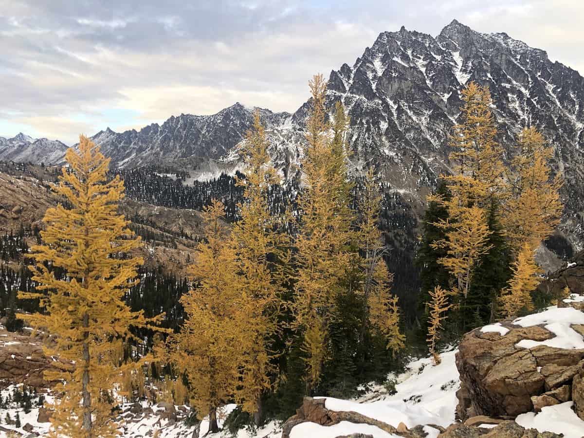 The Best Hikes to Find Golden Larches in Washington - Barley and Co.