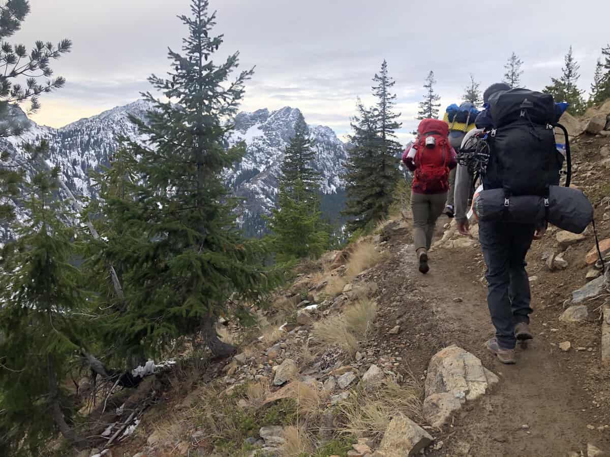 The Best Hikes to Find Golden Larches in Washington - Barley and Co.